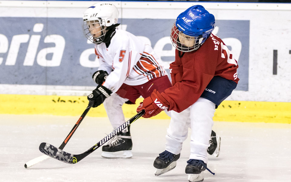 News - HCB Foxes Academy